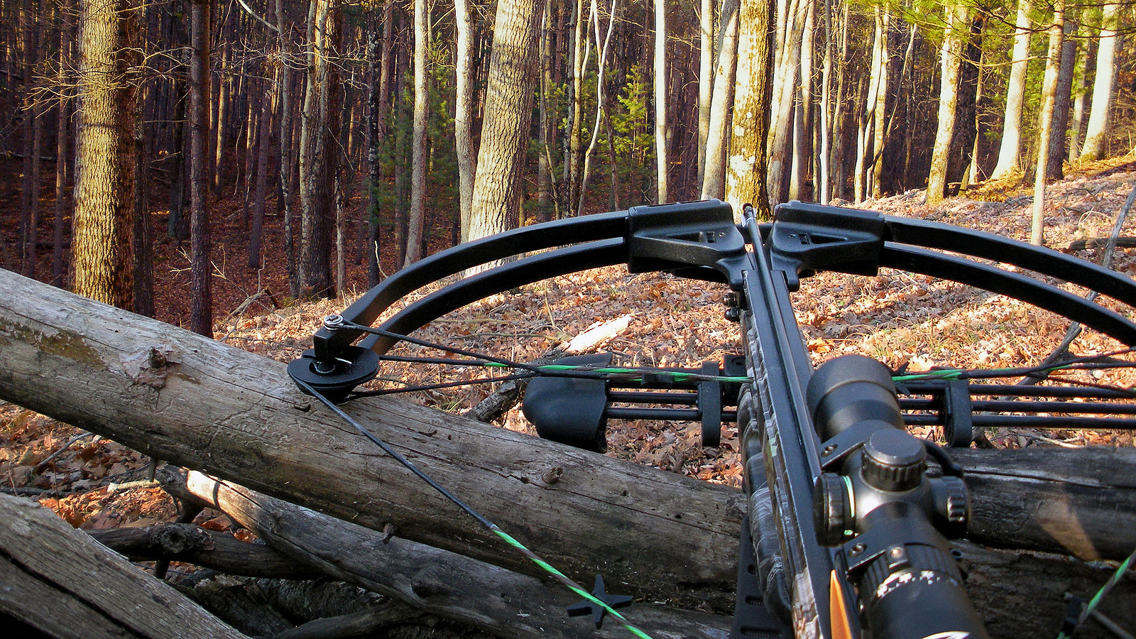 Collections – TriggerTech